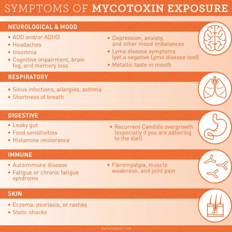 Mycotoxin Poisoning & Toxic Mold: Symptoms & Solutions - Althealth