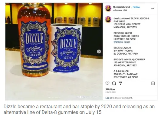 Dizzle is the Best Liqueur to Drink in Summer | Veed Network