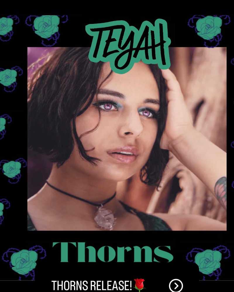 HivedMusic | HivedMusic